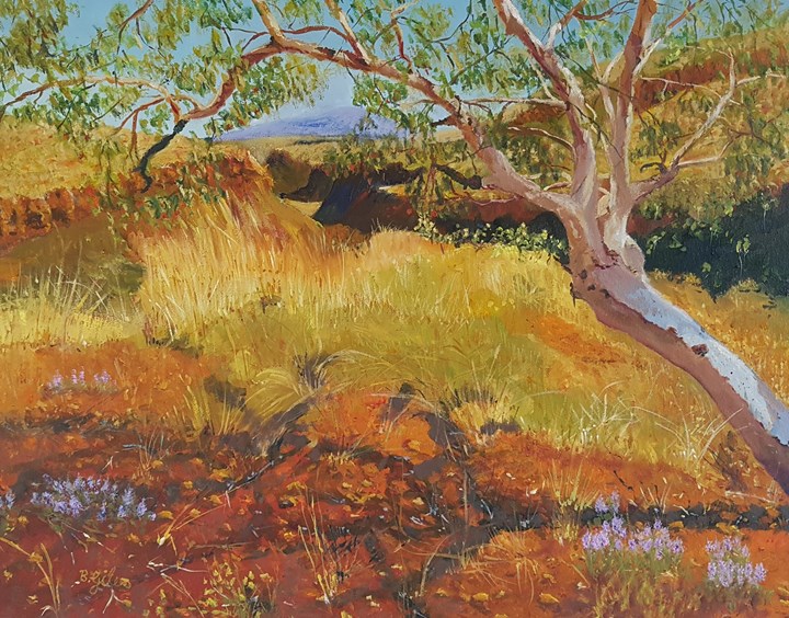Barb Giles - Armadale Society of Artists