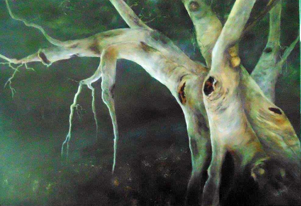 Ancient Gum - Armadale Society of Artists